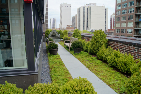 Semi-intensive Green Roof - Green Roof Technology