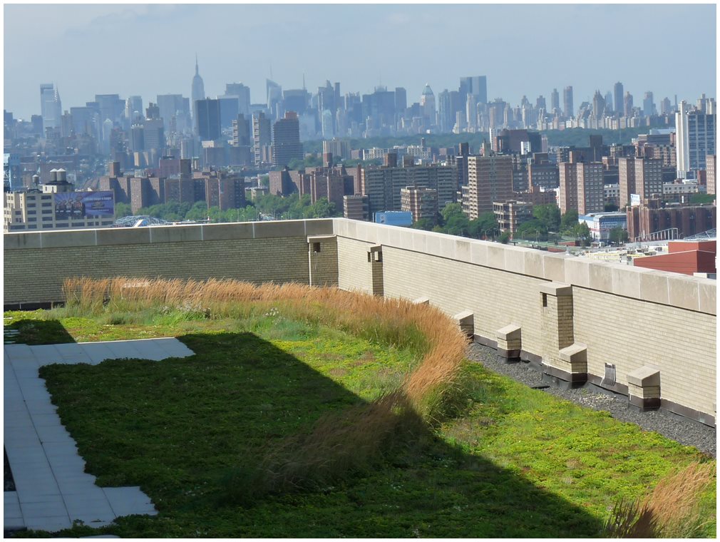 Green Rail Tracks - Green Roof Technology