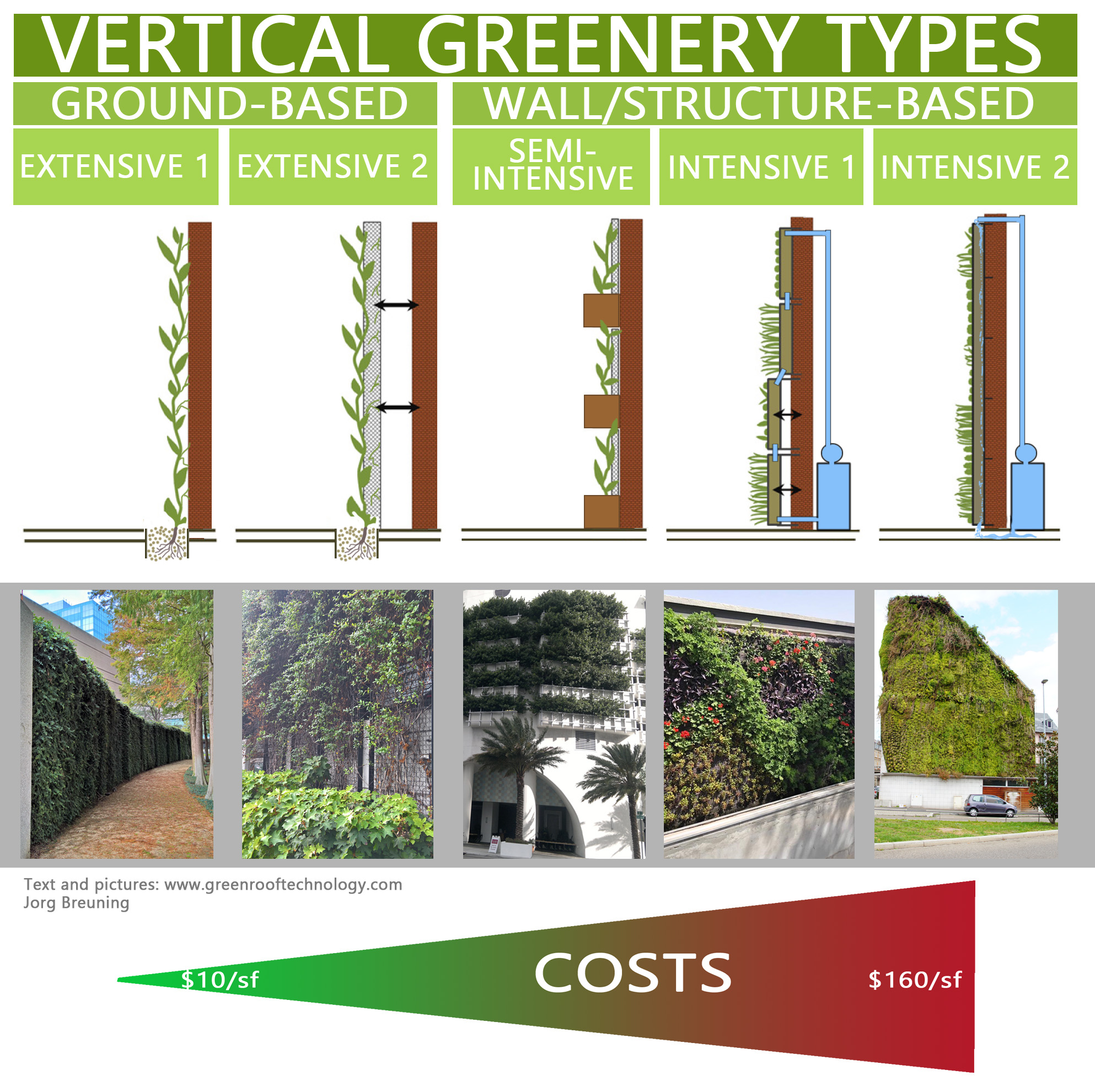 Green Walls - Green Roof Technology